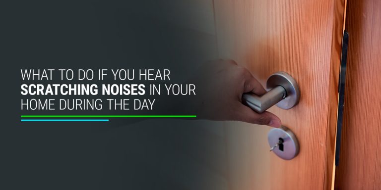 Scratching Noises in Your Home During the Day