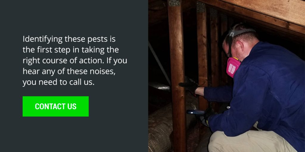 Scratching Noises in Your Home at Night