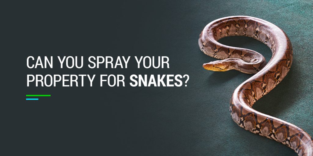 Can You Spray Your Property for Snakes?